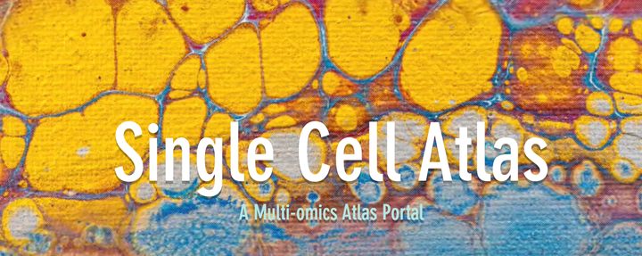 Single cell atlas | Roman Tremmel